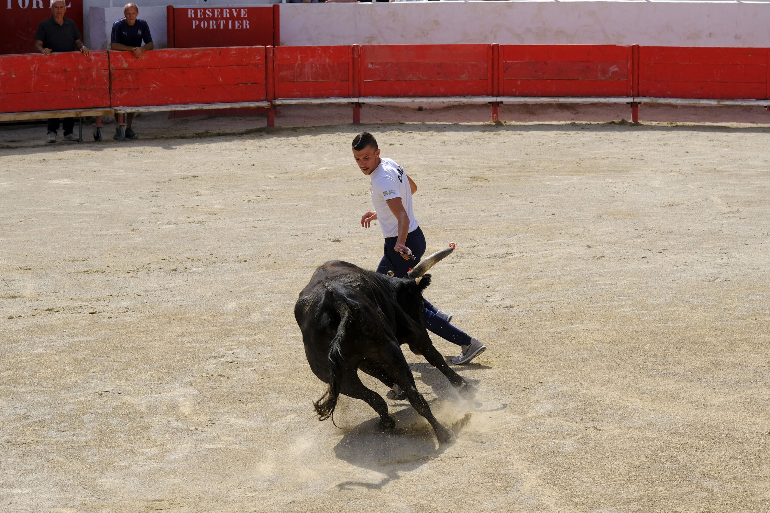 Les rendez-vous taurins – Juillet – août – Tourisme